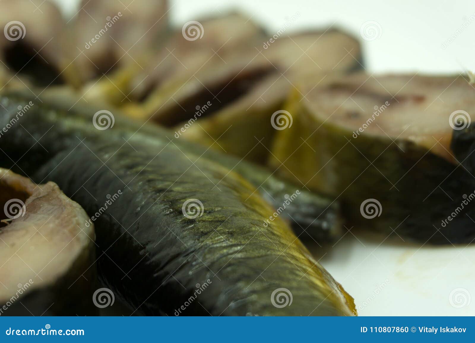 Fish, Shell, Red Sea, Underwater World, Coral Reef, Colorful, Real ...