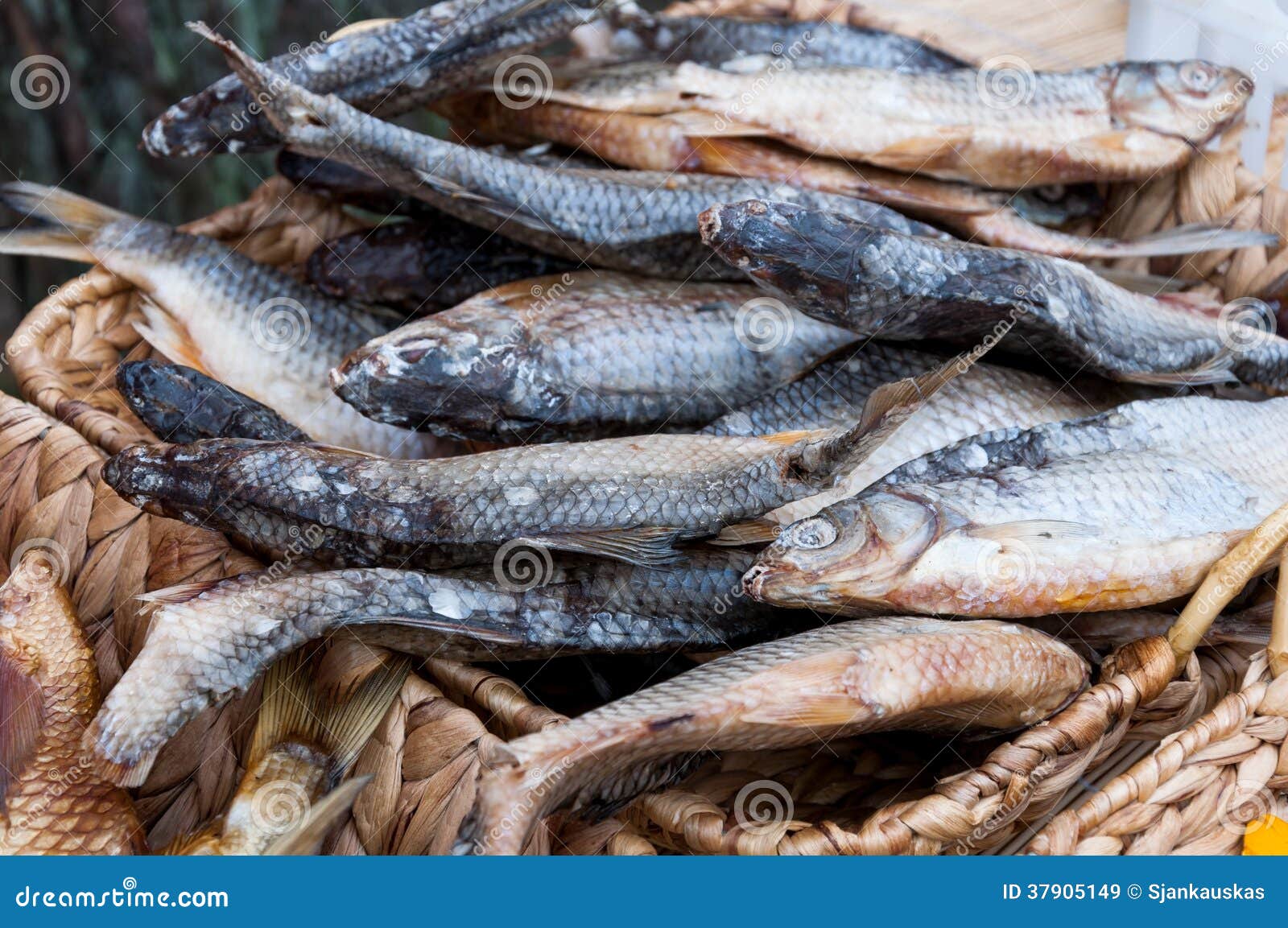 Smoked fish vimba bream stock image. Image of body, gourmet - 37905149