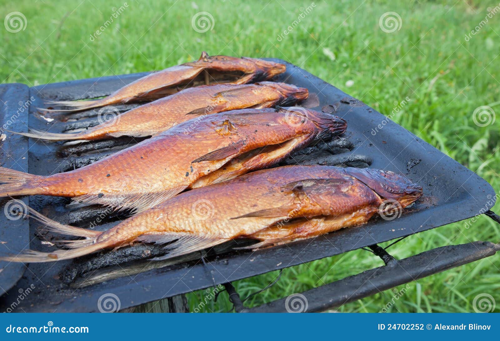 Smoked fresh fish stock photo. Image of roasted, fishing - 24702252