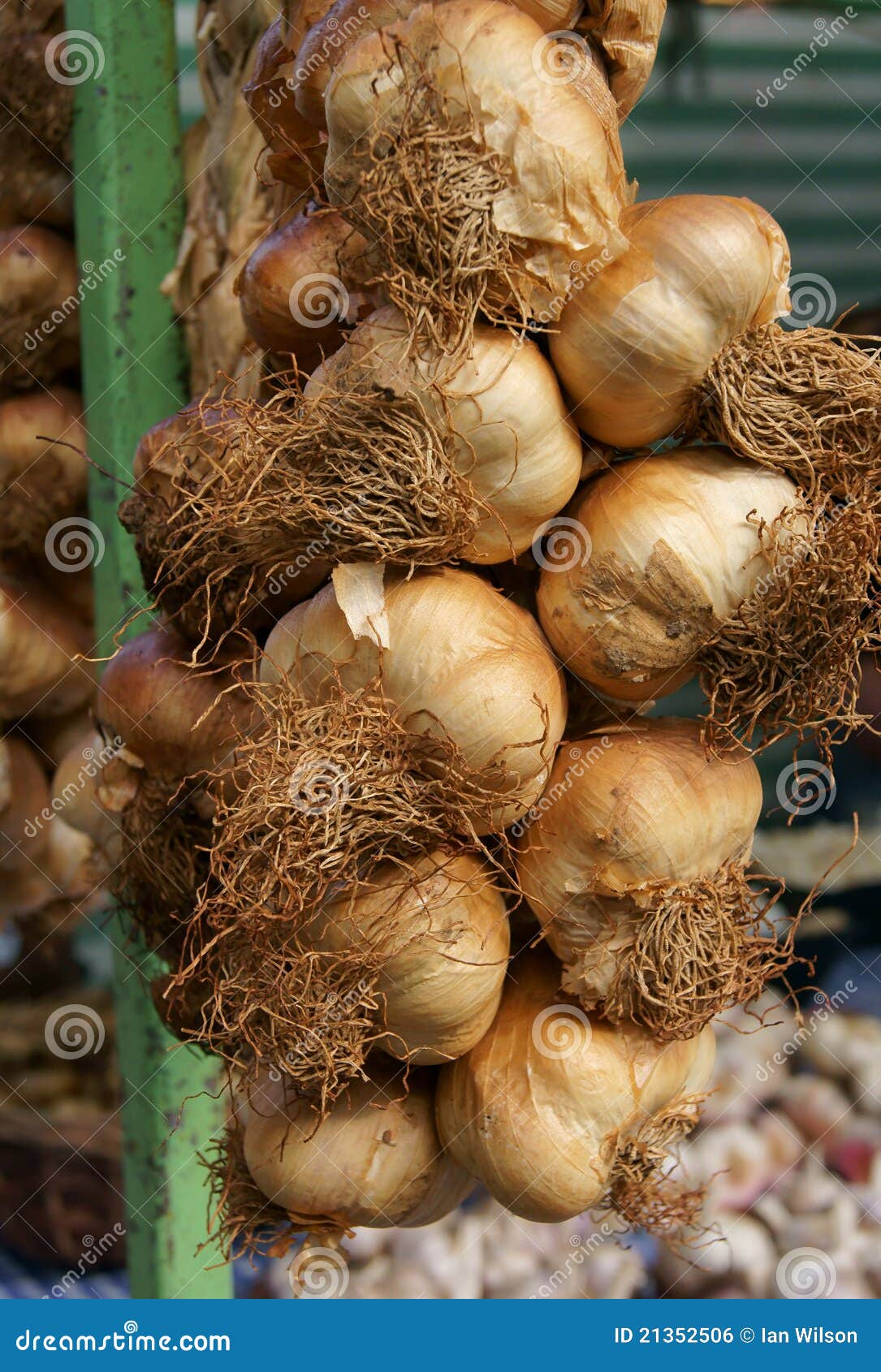 Smoked garlic stock photo. Image of cloves, smoke, ingredient - 21352506