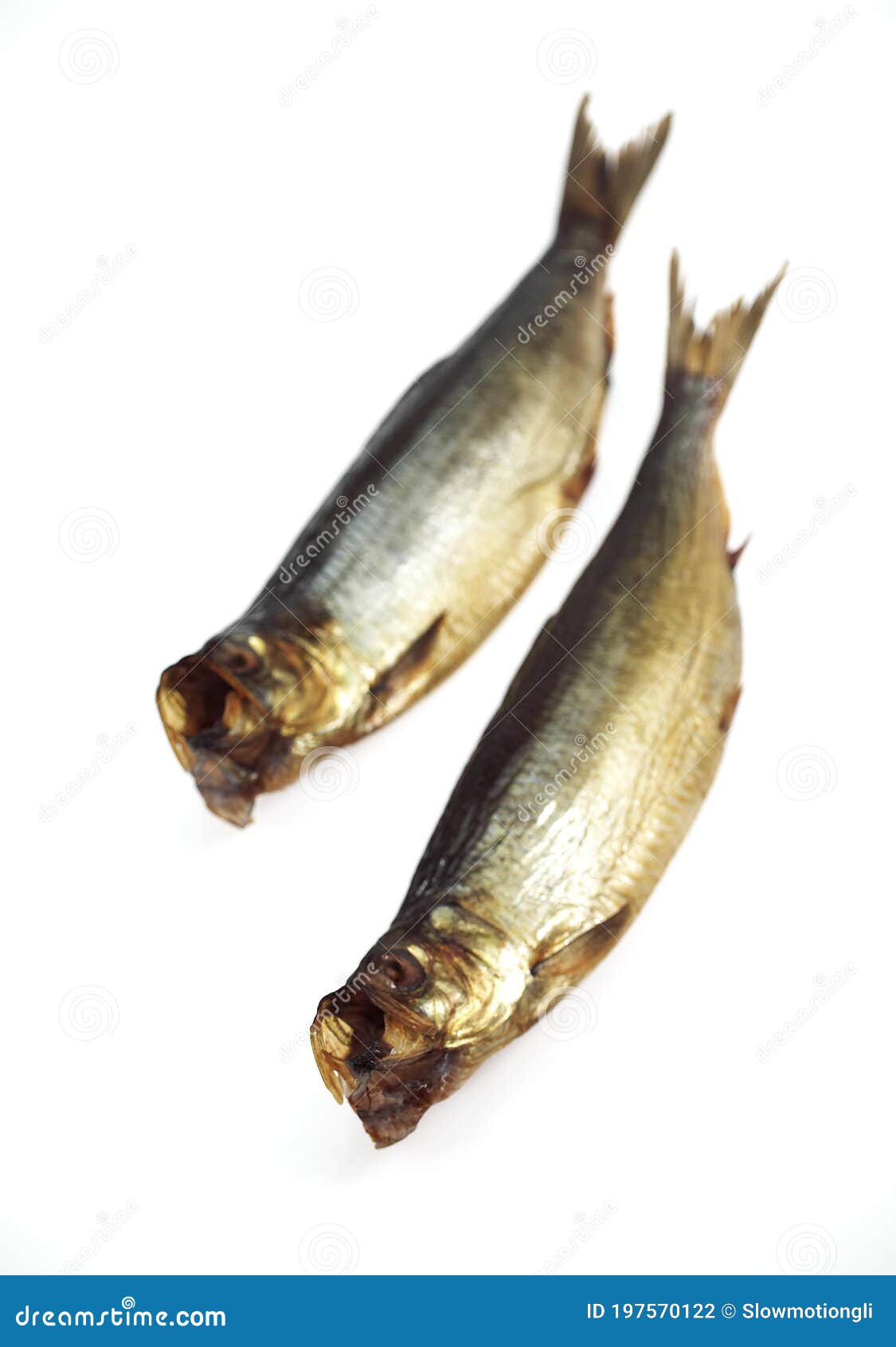 Smoked Herring or Bouffi Bloater, Clupea Harengus Stock Photo - Image ...