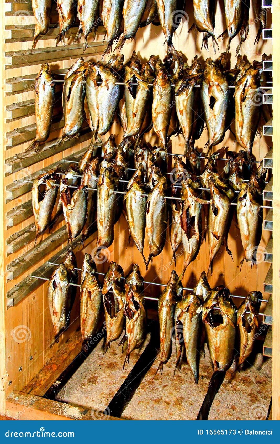 Smoked herrings stock image. Image of fishy, preserve - 16565173