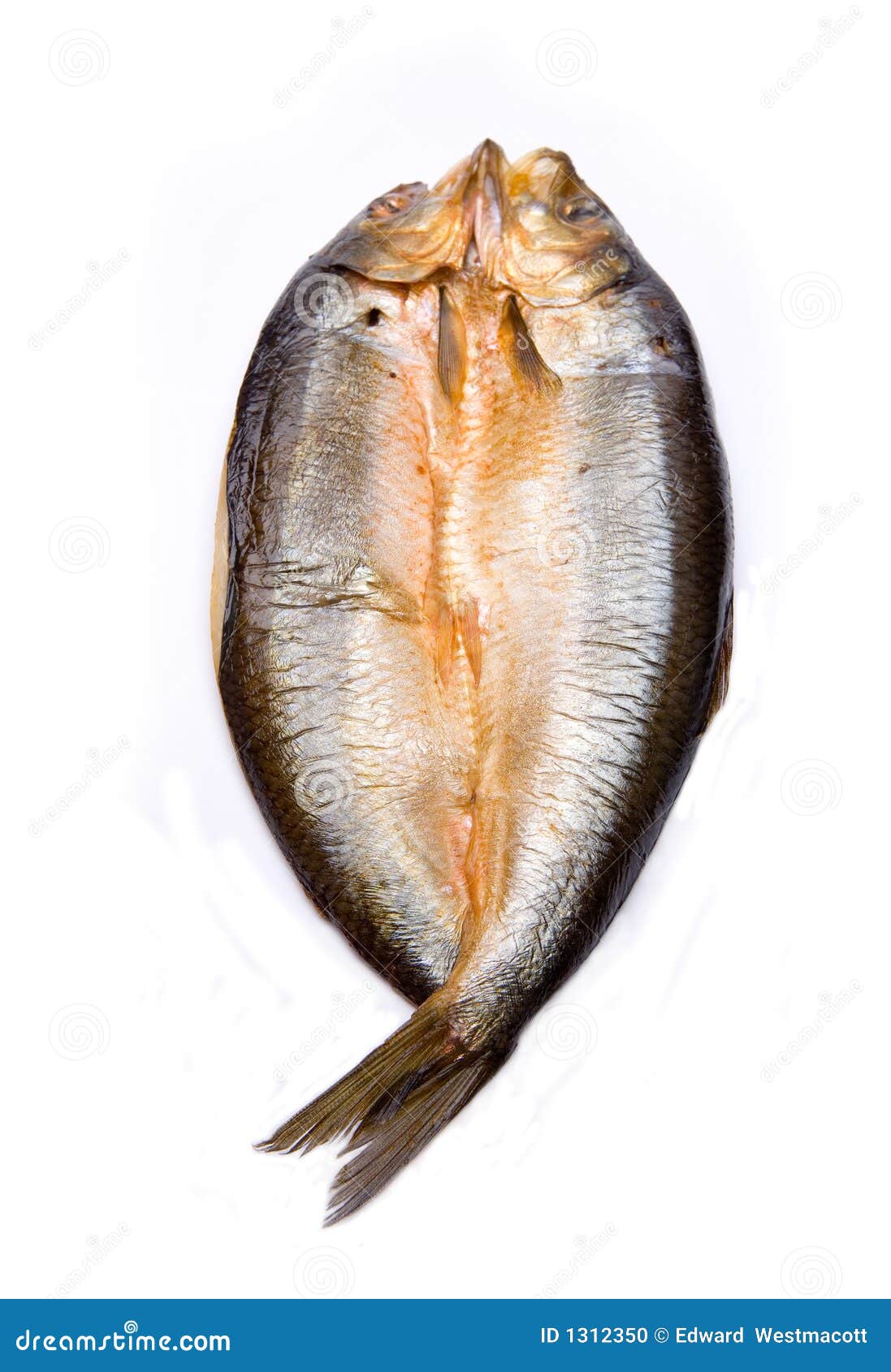 Smoked kippers stock photo. Image of food, animal, appetizing - 1312350