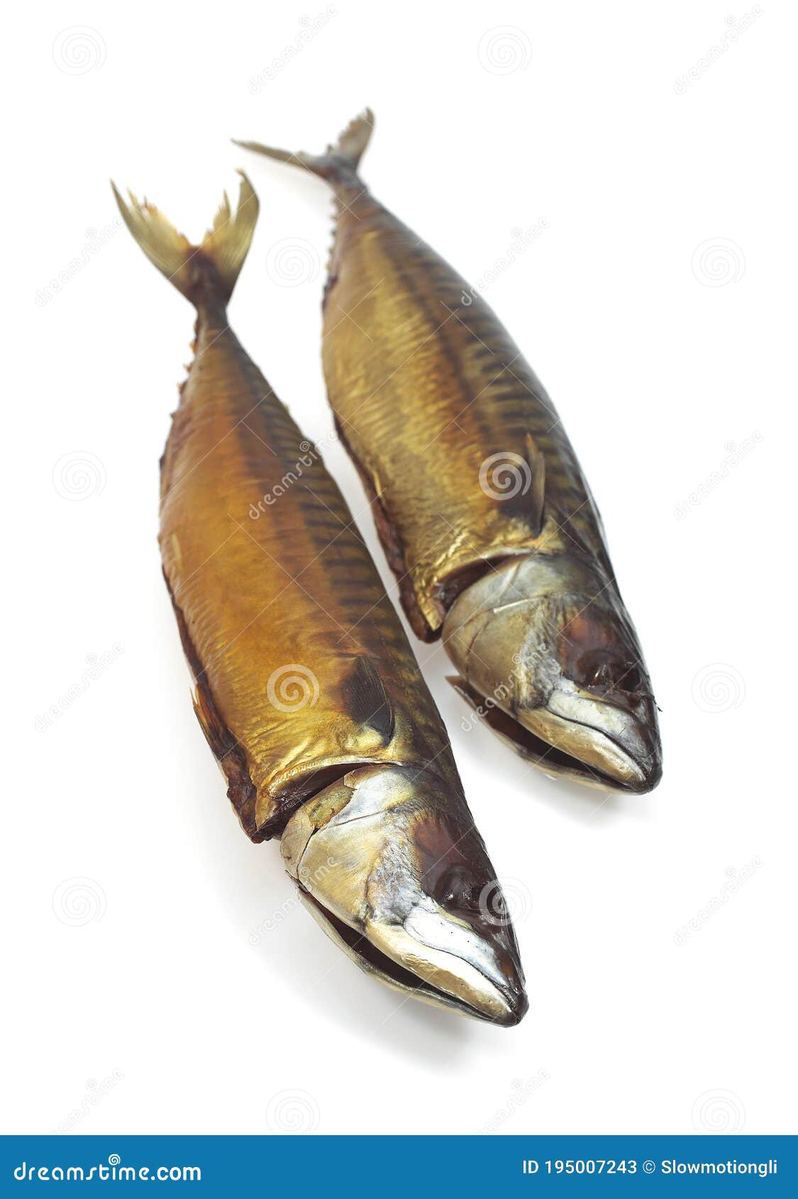 SMOKED MACKERL Scomber Scombrus AGAINST WHITE BACKGROUND Stock Image ...