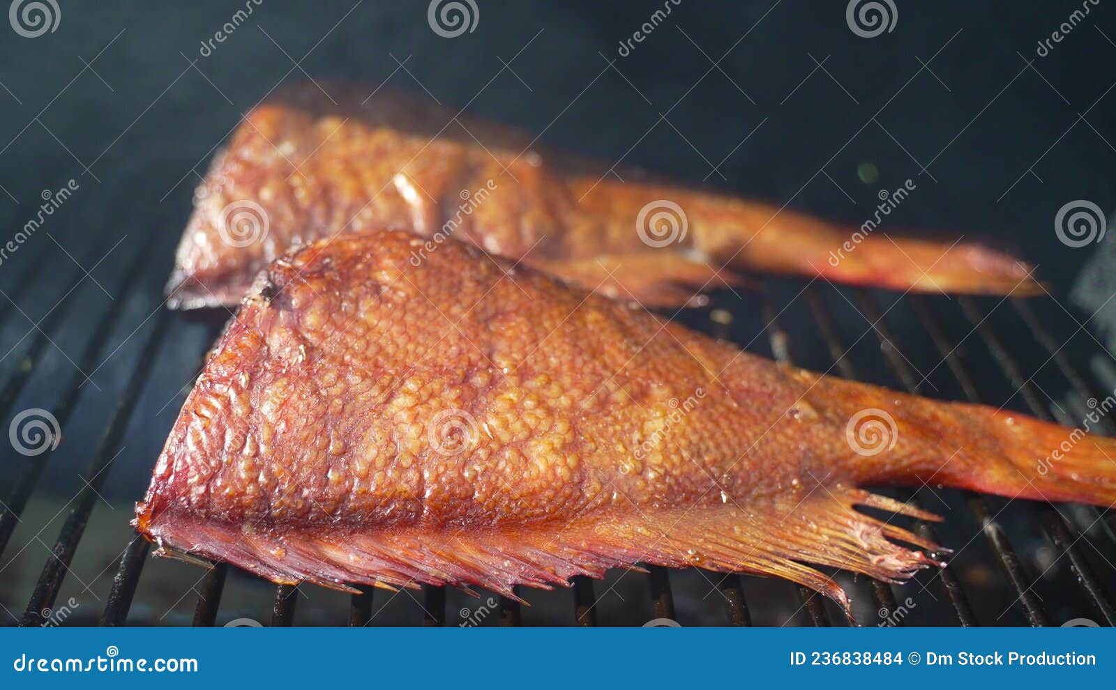 Smoked perch fish stock footage. Video of bass, close - 236838484