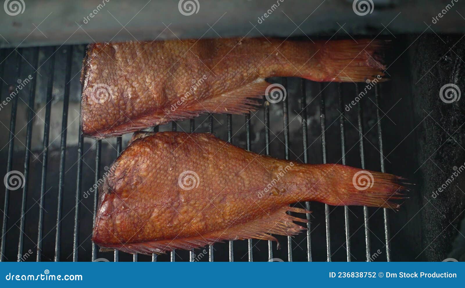 Smoked perch fish stock footage. Video of cuisine, food - 236838752