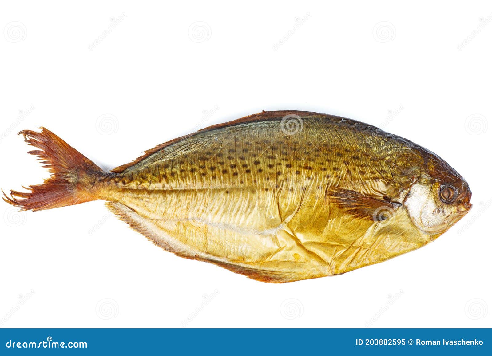 Smoked Pompano Fish Isolated on White Stock Image - Image of ...