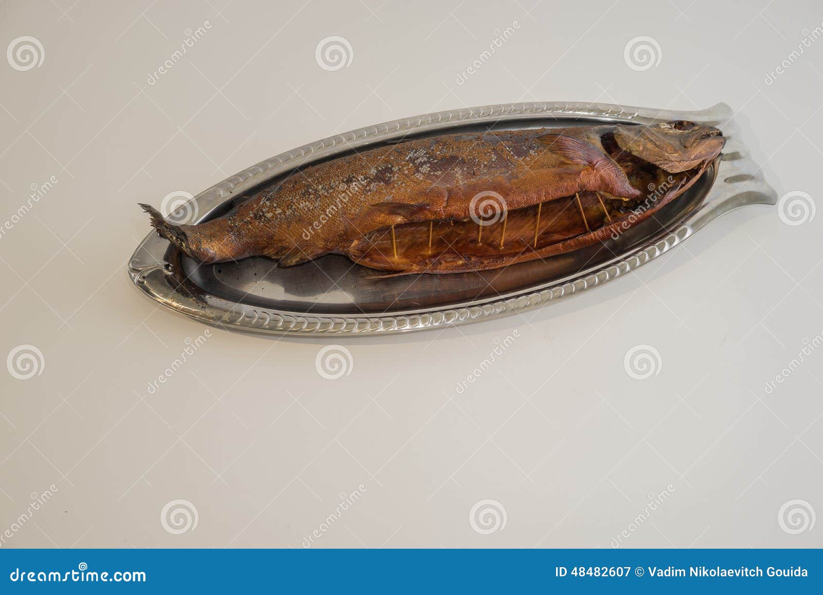 Aquatic Craniate Animals Stock Photos - Free & Royalty-Free Stock ...