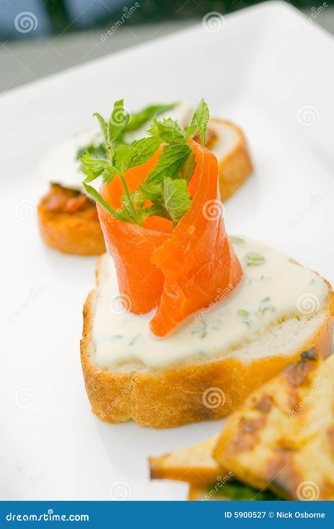 Smoked salmon on toast stock image. Image of trout, tapas - 5900527