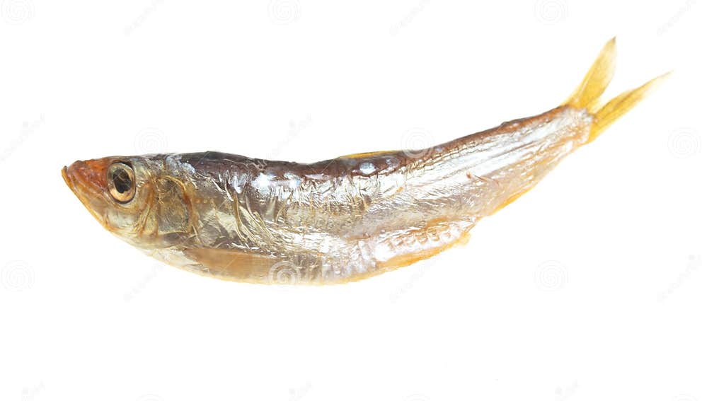 Smoked Sprat Isolated on White Stock Photo - Image of white, fresh ...