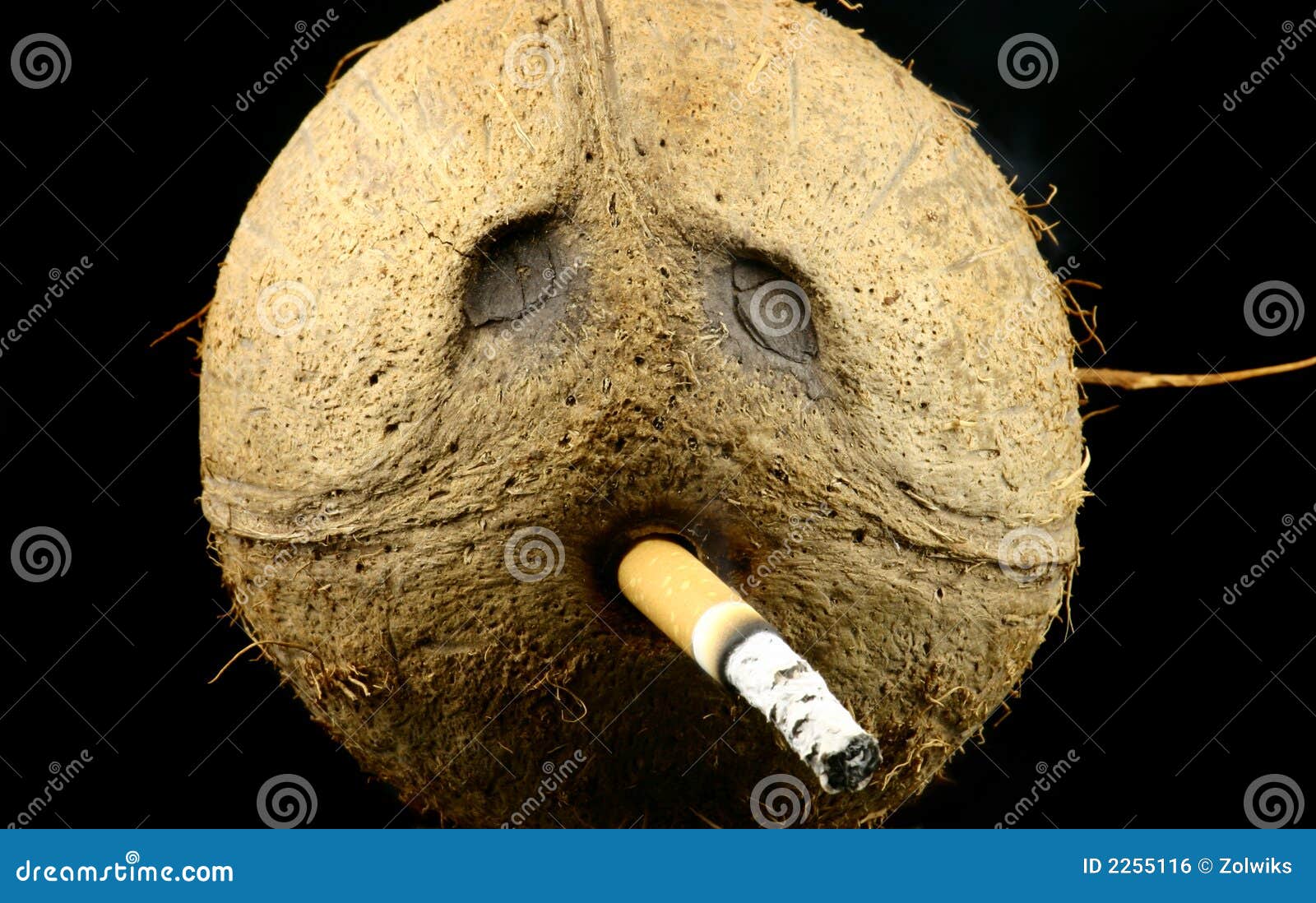 Smoker stock photo. Image of toxic, coconut, ashes, smoke - 2255116