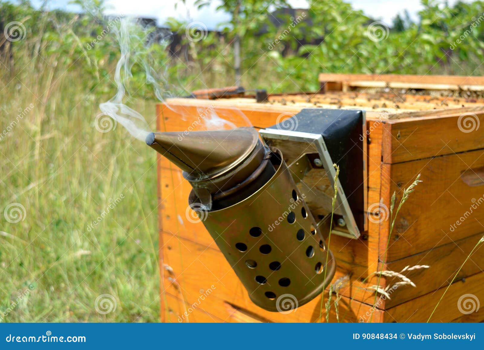Smoker on the beehive stock photo. Image of multi, ruth - 90848434