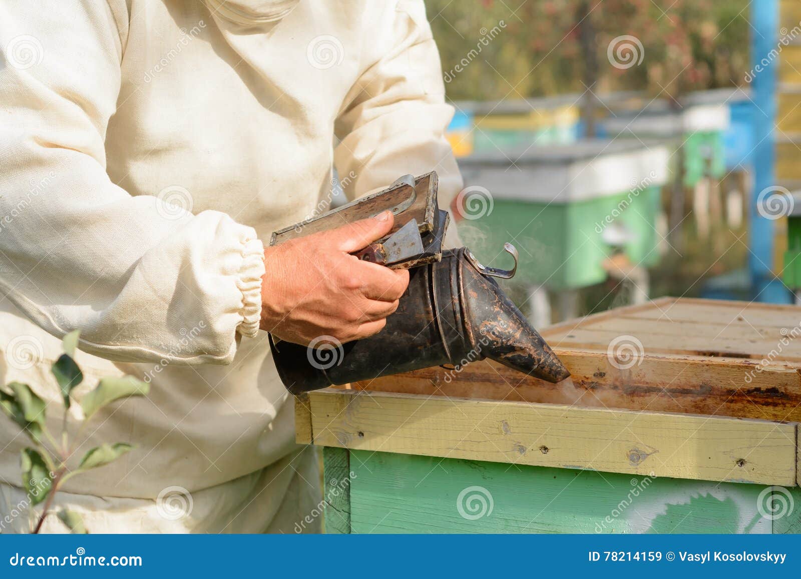 Smoker Beekeepers Tool To Keep Bees Away from Hive. Beekeeper Stock ...