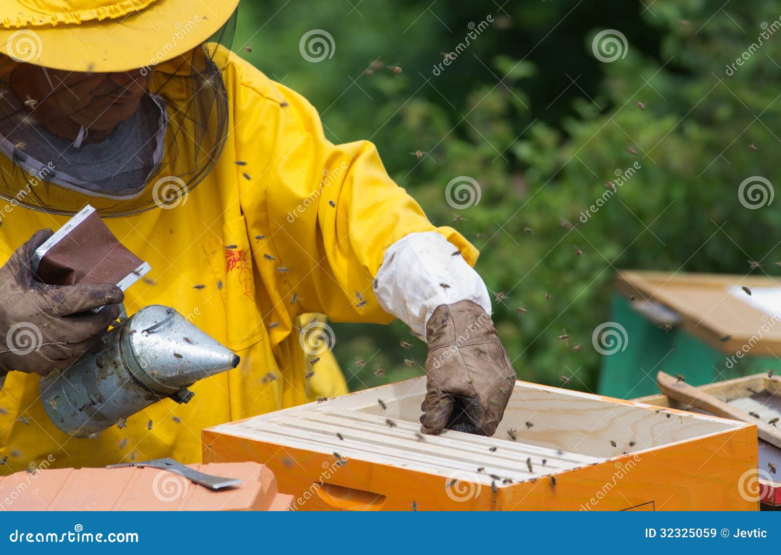Smoker for bees stock image. Image of gloves, apiculture - 32325059