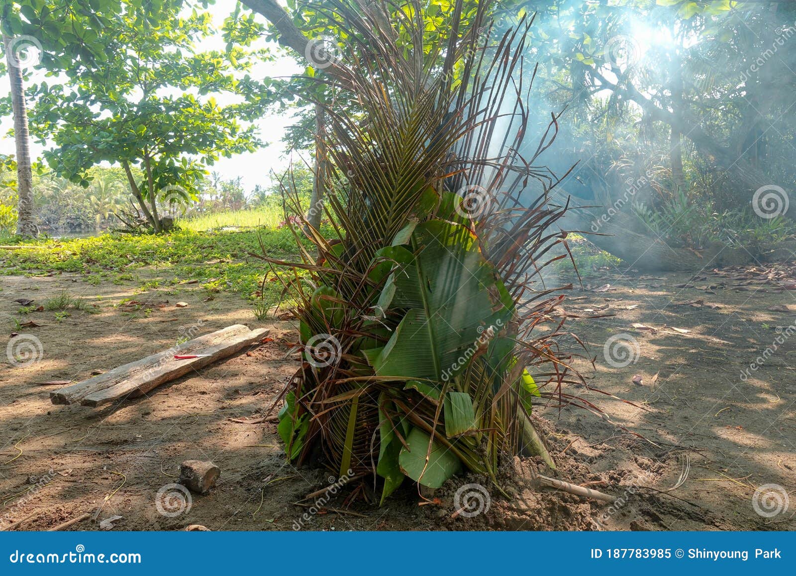 Primitive Jungle Village And Huts Royalty-Free Stock Photo ...