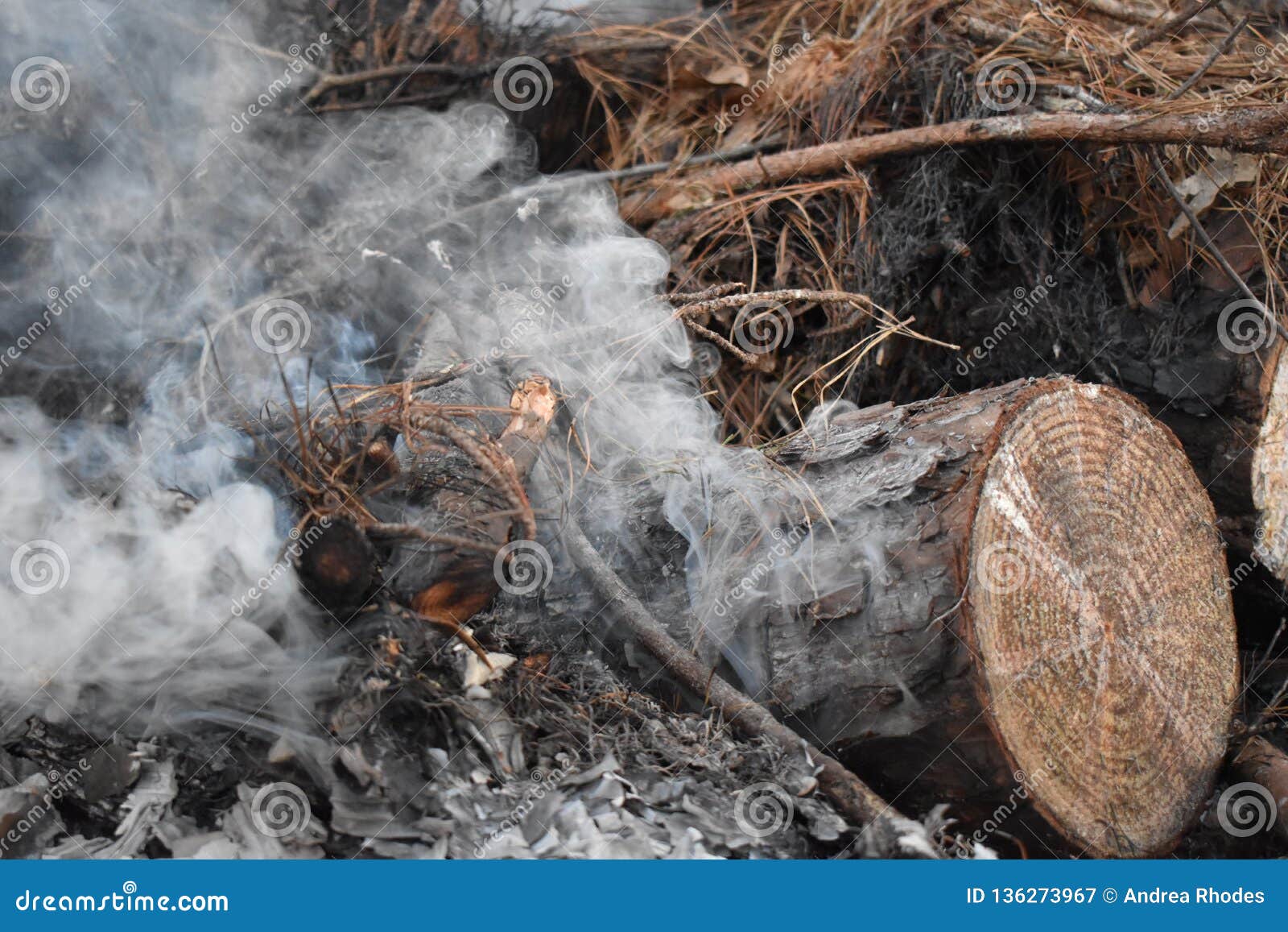 Smokey log stock image. Image of fire, smoke, smokey - 136273967