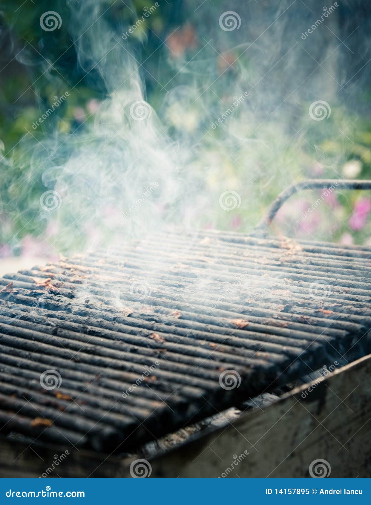 Smoking barbecue stock image. Image of backyard, dinner - 14157895