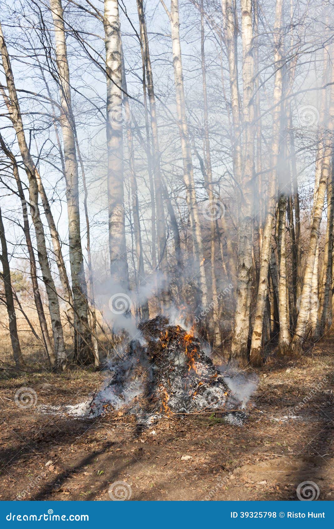 Smoking bonfire at forest stock photo. Image of outdoor - 39325798