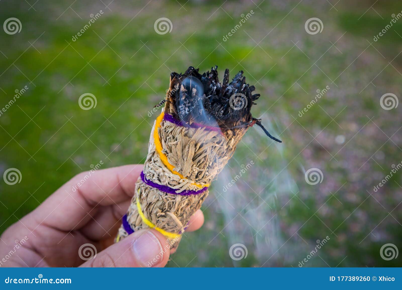 Smoking Bundle of Sage in a Hand with Grassy Background Stock Photo ...