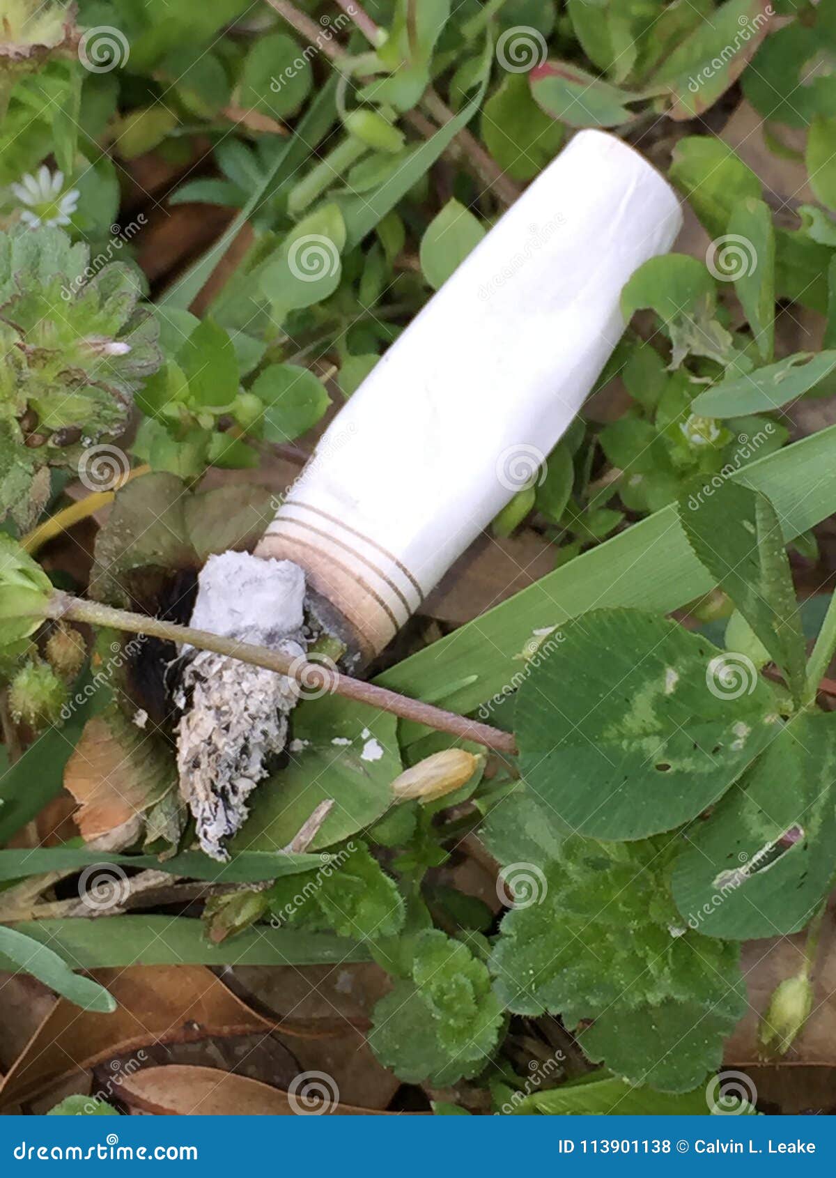 Smoking Cigarette Litter stock photo. Image of ground - 113901138