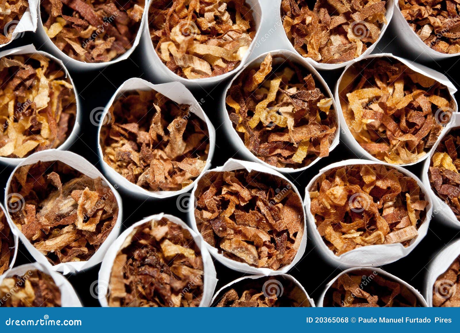 Smoking Cigarettes in a Stack Stock Photo - Image of addiction ...