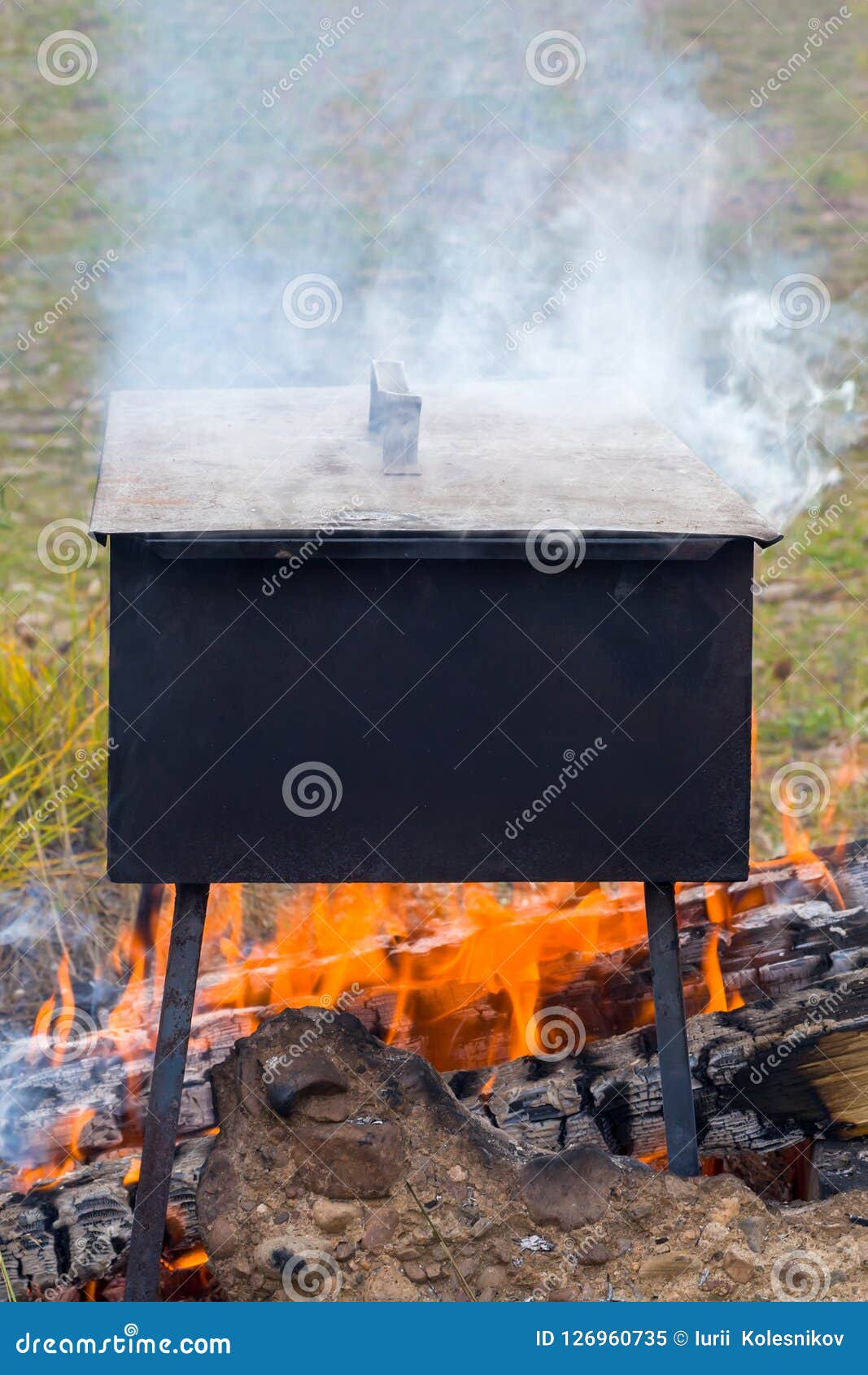Smoking of fish on a fire stock image. Image of bonfire - 126960735