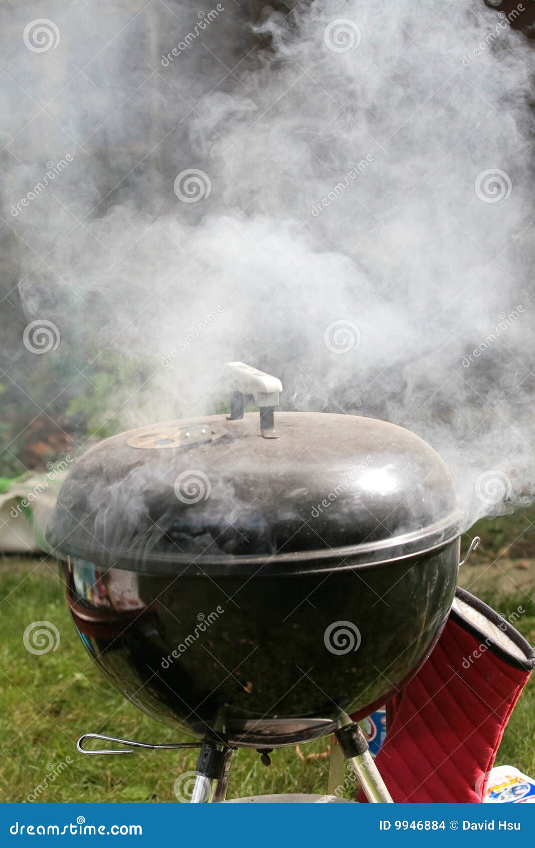 Smoking grill outdoors stock photo. Image of cooking, cook - 9946884