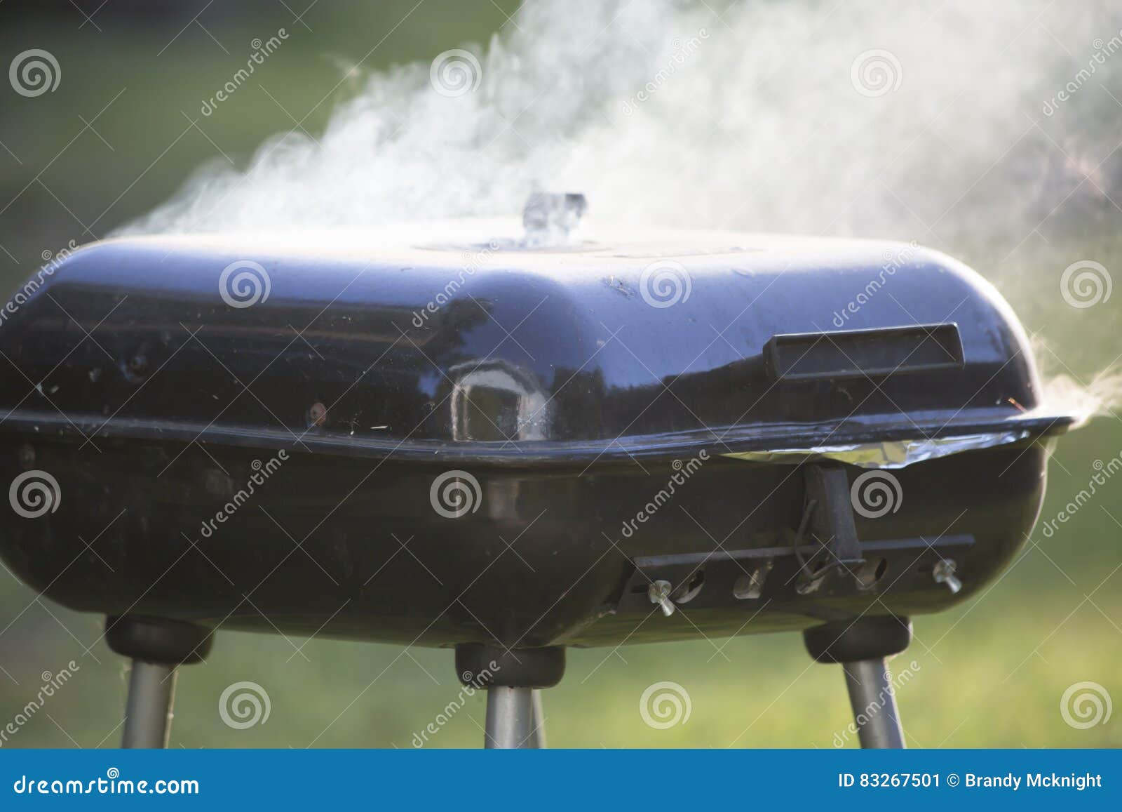 Smoking Grill stock image. Image of cuisine, grilling - 83267501