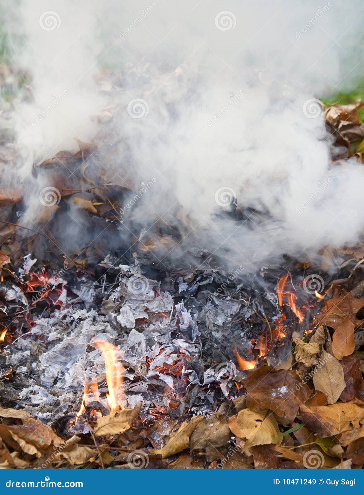 Smoking leaves stock image. Image of smoldering, fall - 10471249
