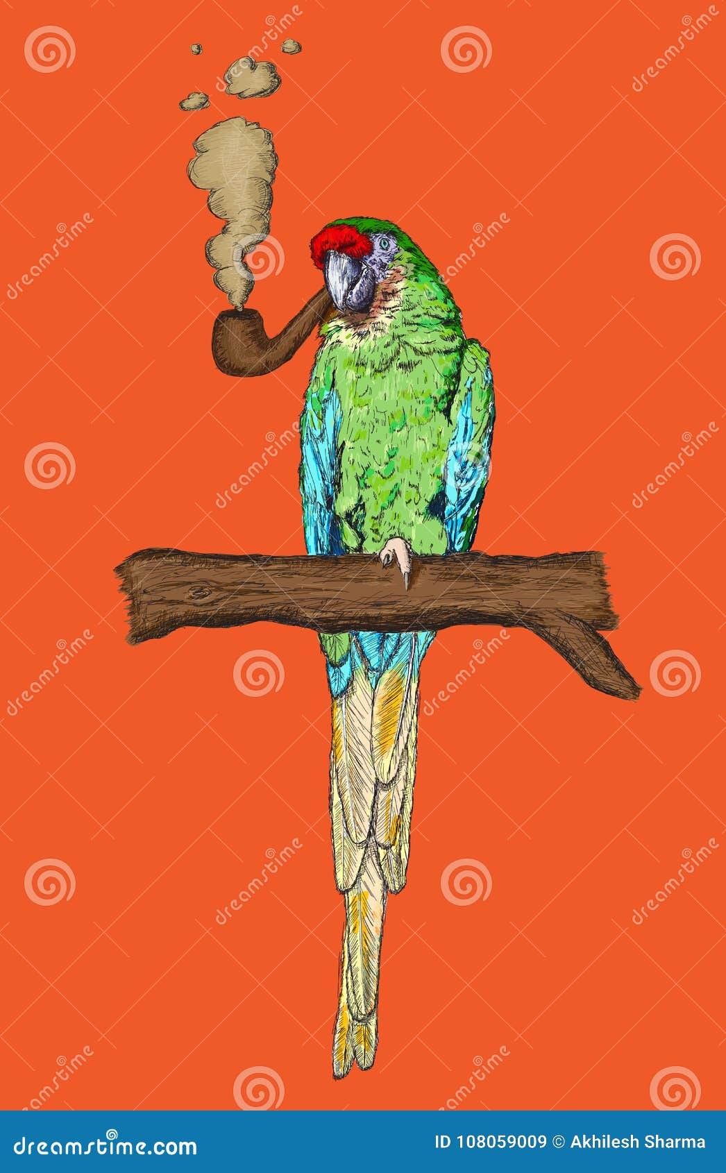 Smoking Pipe Macaw Parrot Vector Illustration Stock Vector ...