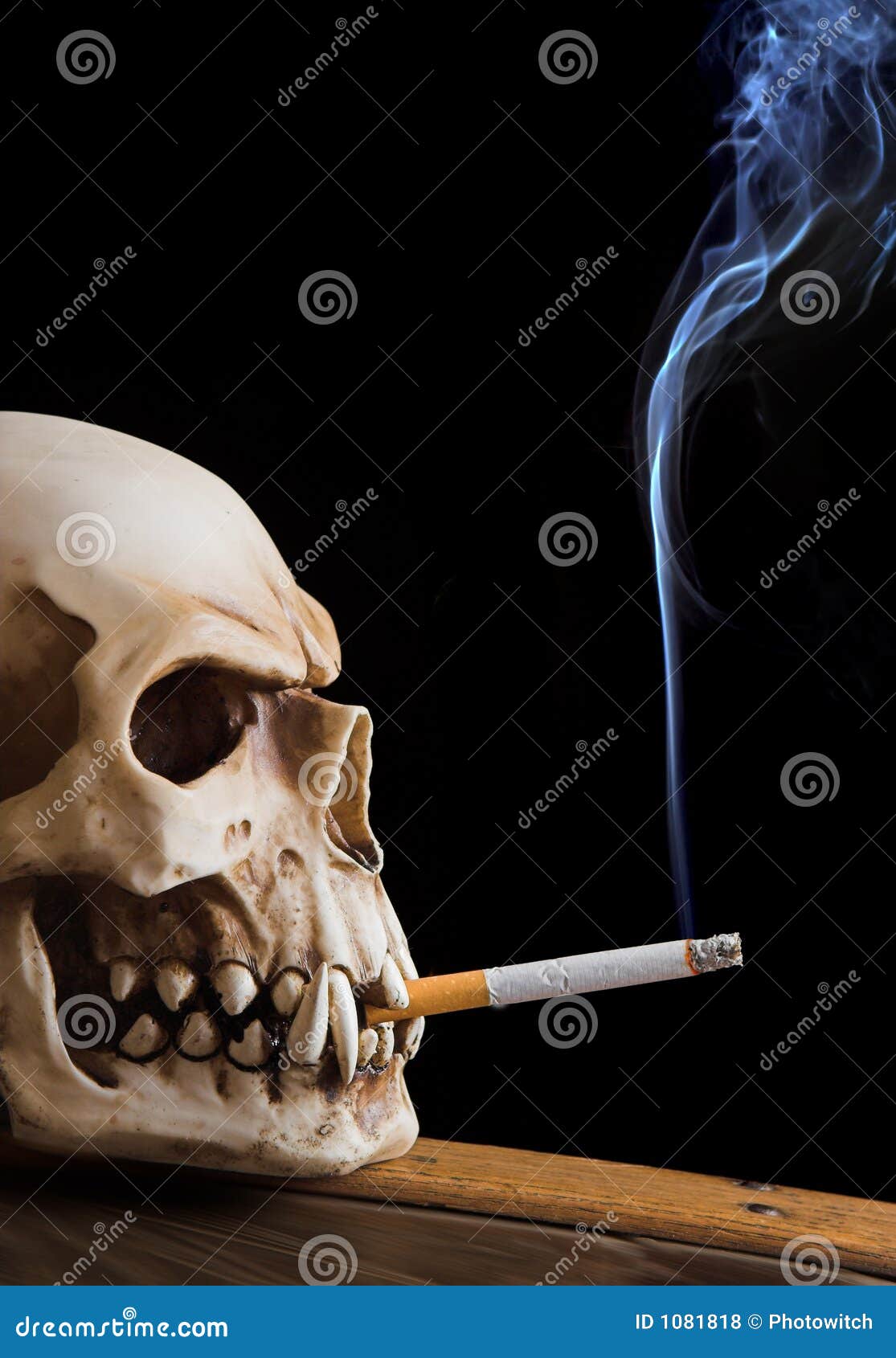 Smoking skull stock photo. Image of healthcare, medical - 1081818