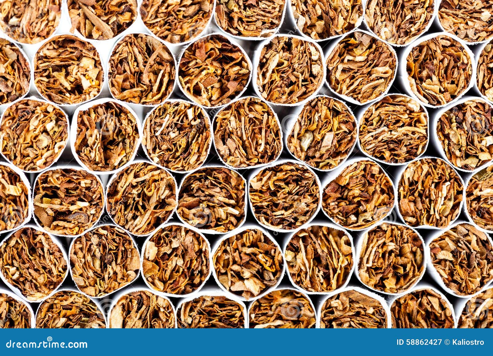 Smoking - a Strong Harm To Health Stock Image - Image of habit ...