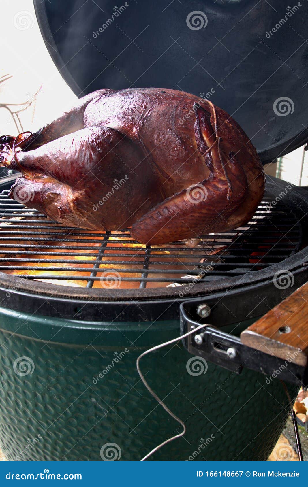 Smoking turkey stock image. Image of closeup, butchers - 166148667