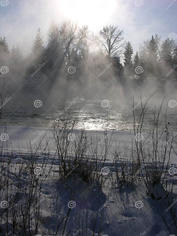 Smoking winter stock image. Image of trees, smoke, forest - 263607