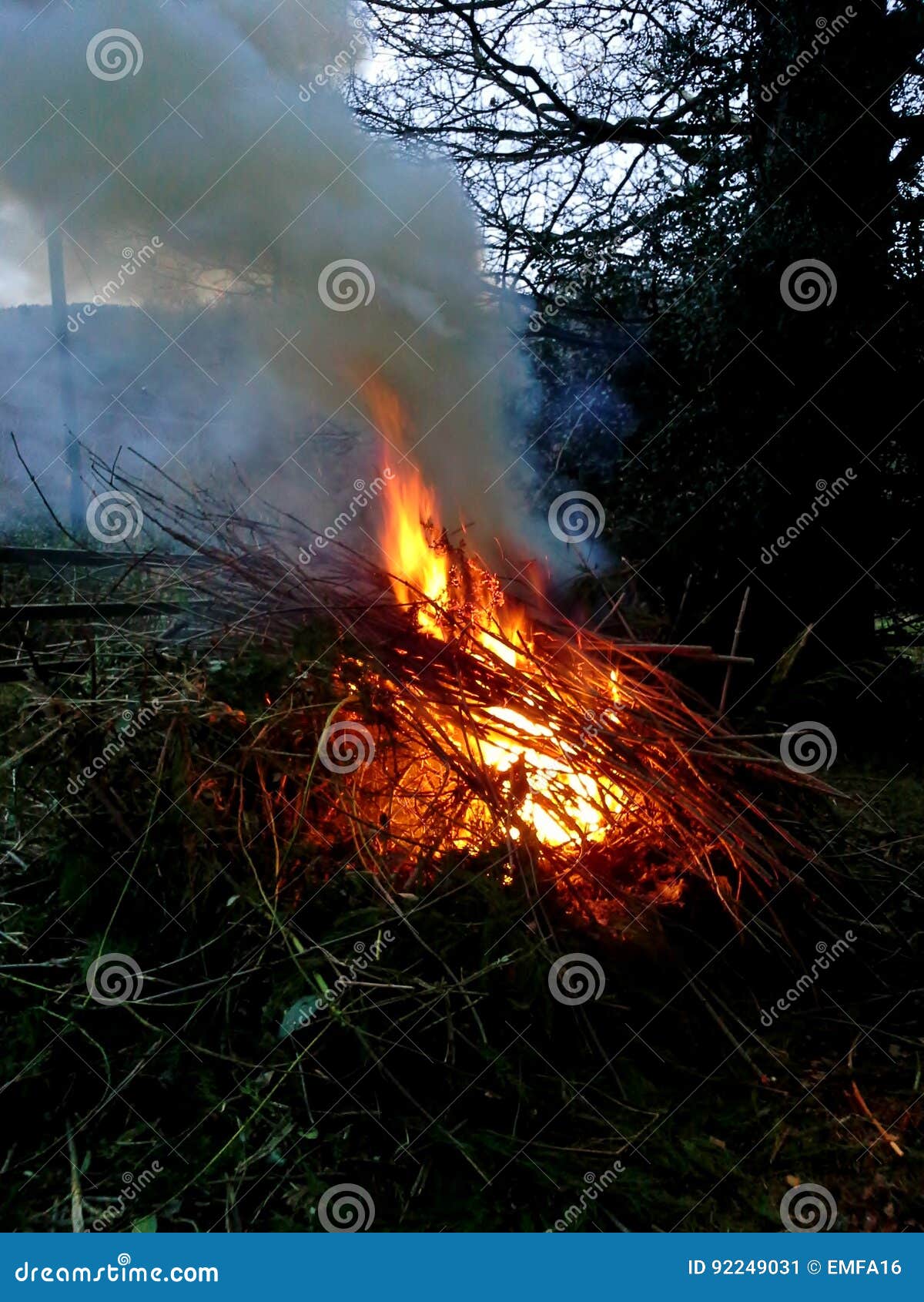 Smoky Bonfire in the Woods stock image. Image of fireplace - 92249031