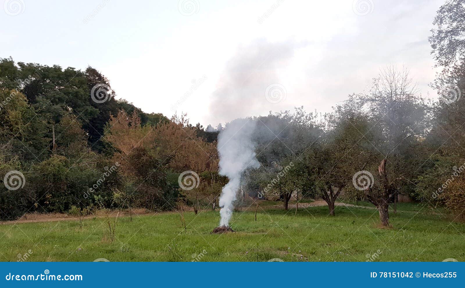 Smoky Campfire Left without Supervision Stock Photo - Image of grass ...