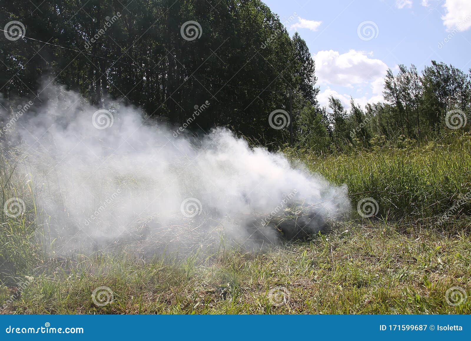 Smoky in the Field from the Burning Grass in Summer Field Stock Image ...