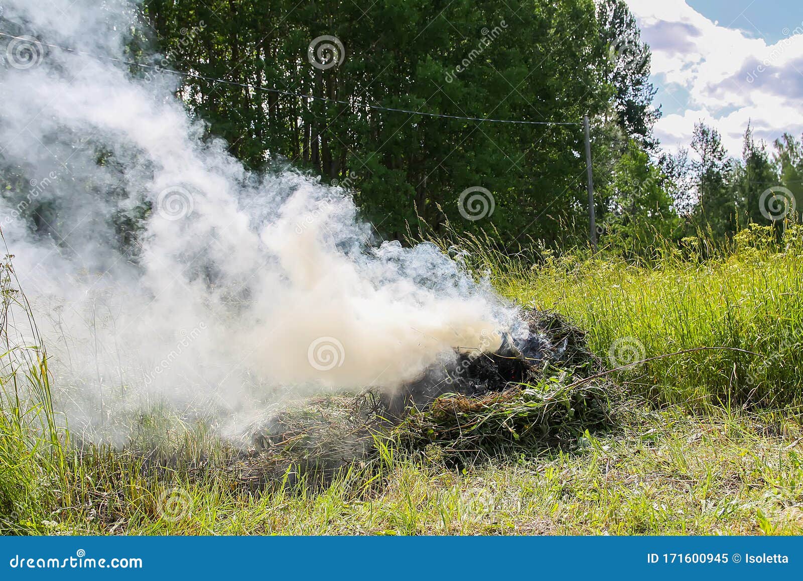 Smoky in the Field from the Burning Grass in Summer Field Stock Image ...