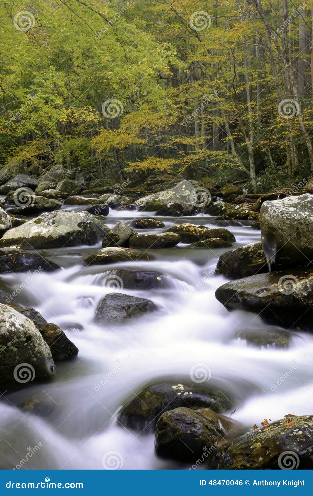 Smoky Mountain Fall Stream stock photo. Image of forest - 48470046
