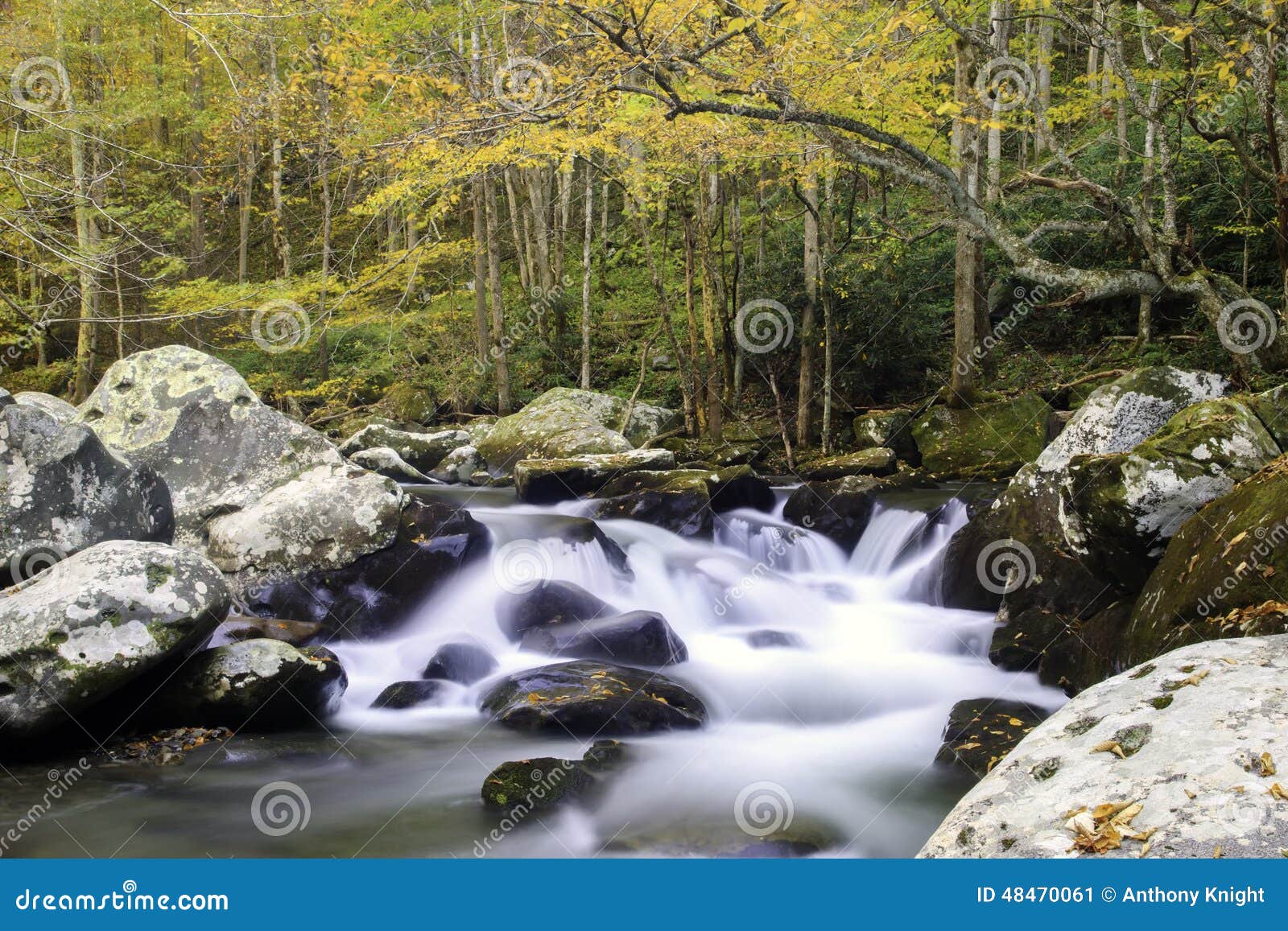 Smoky Mountain Fall Stream stock image. Image of grist - 48470061