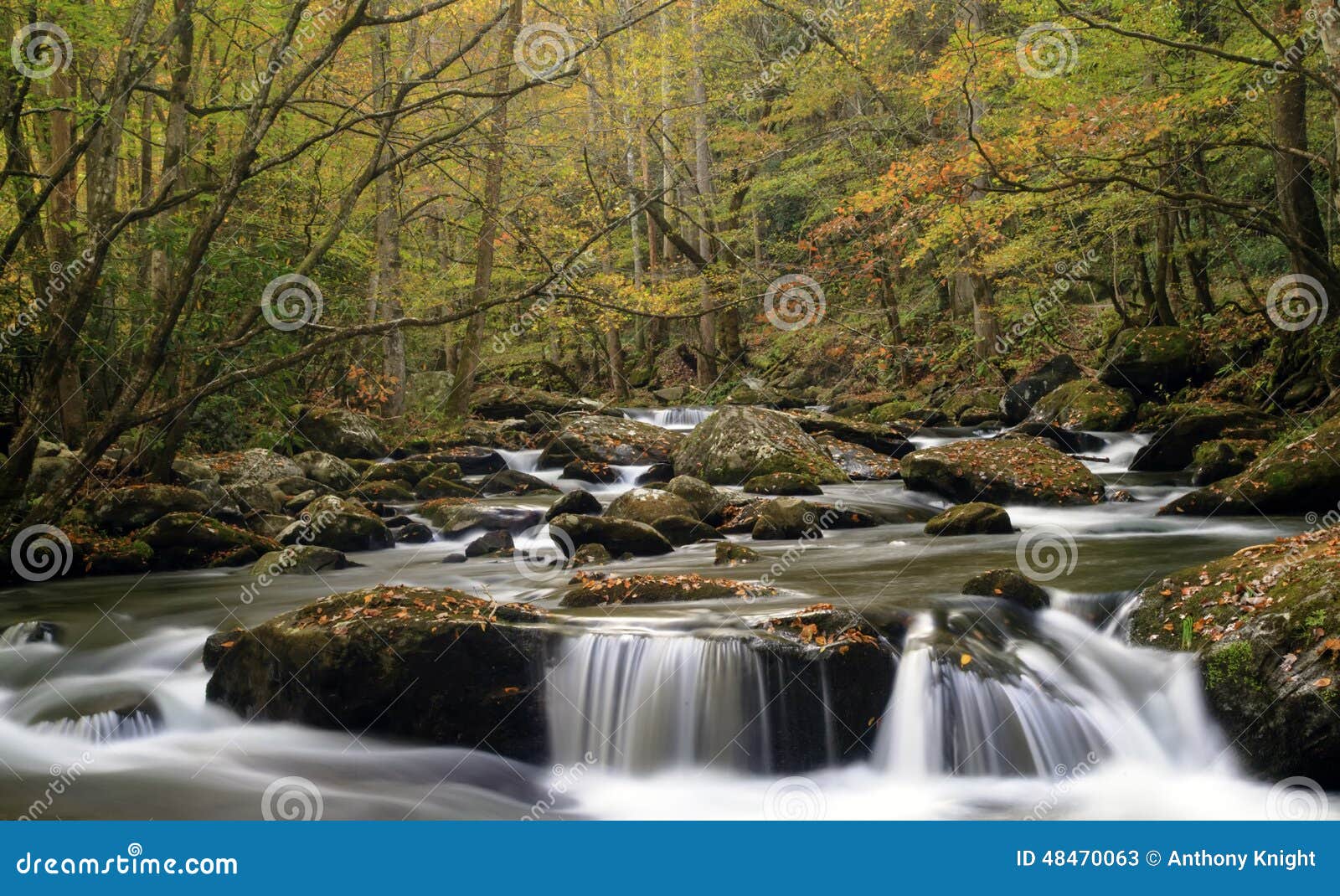 Smoky Mountain Fall Stream stock image. Image of mountains - 48470063