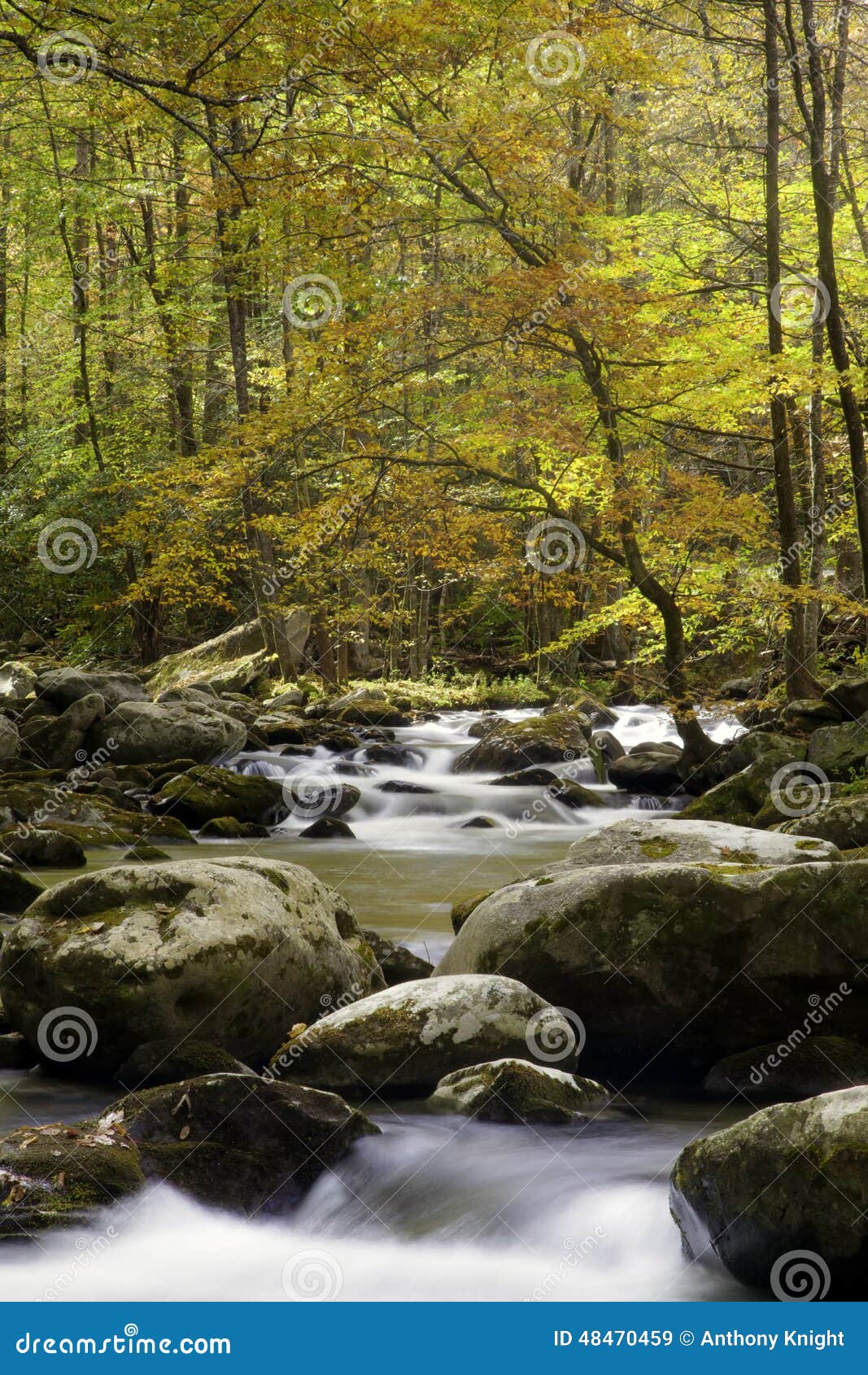 Smoky Mountain Fall Stream stock image. Image of moss - 48470459