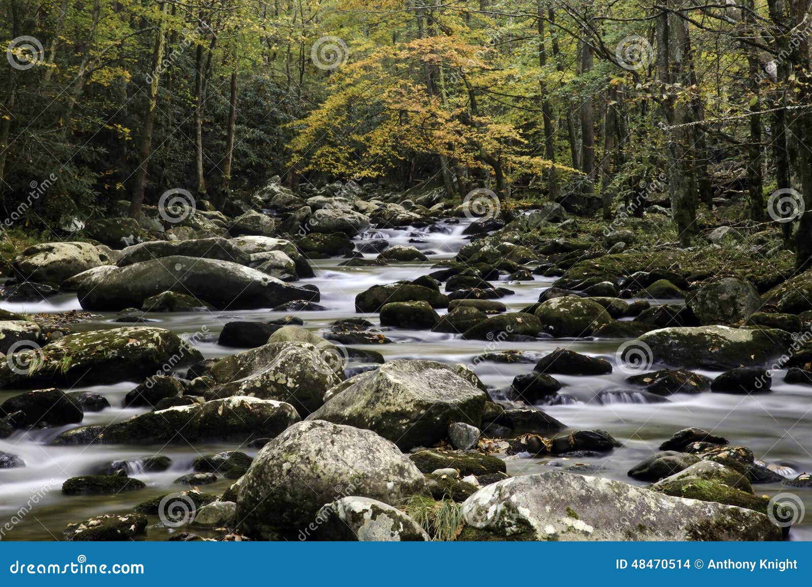 Smoky Mountain Fall Stream stock photo. Image of lush - 48470514