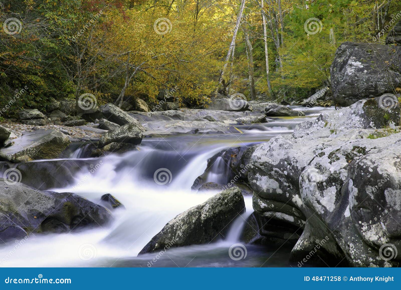 Smoky Mountain Fall Stream stock photo. Image of national - 48471258