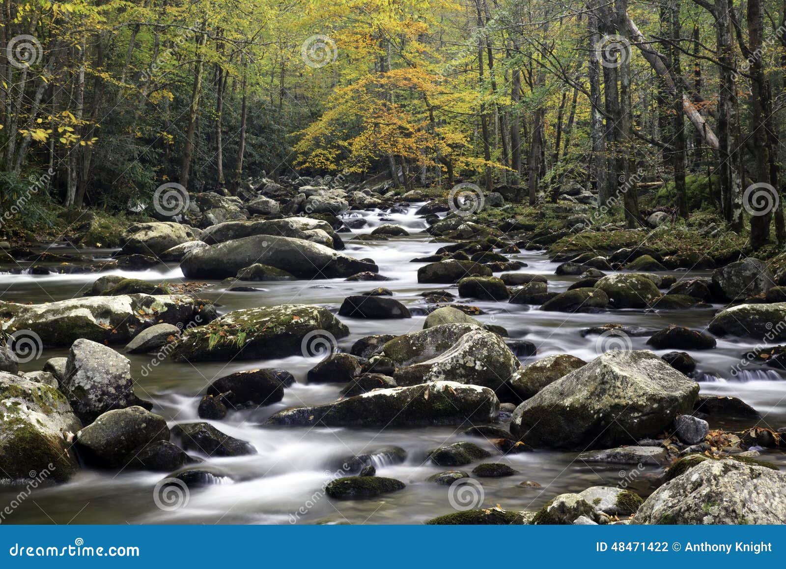 Smoky Mountain Fall Stream stock photo. Image of beautiful - 48471422