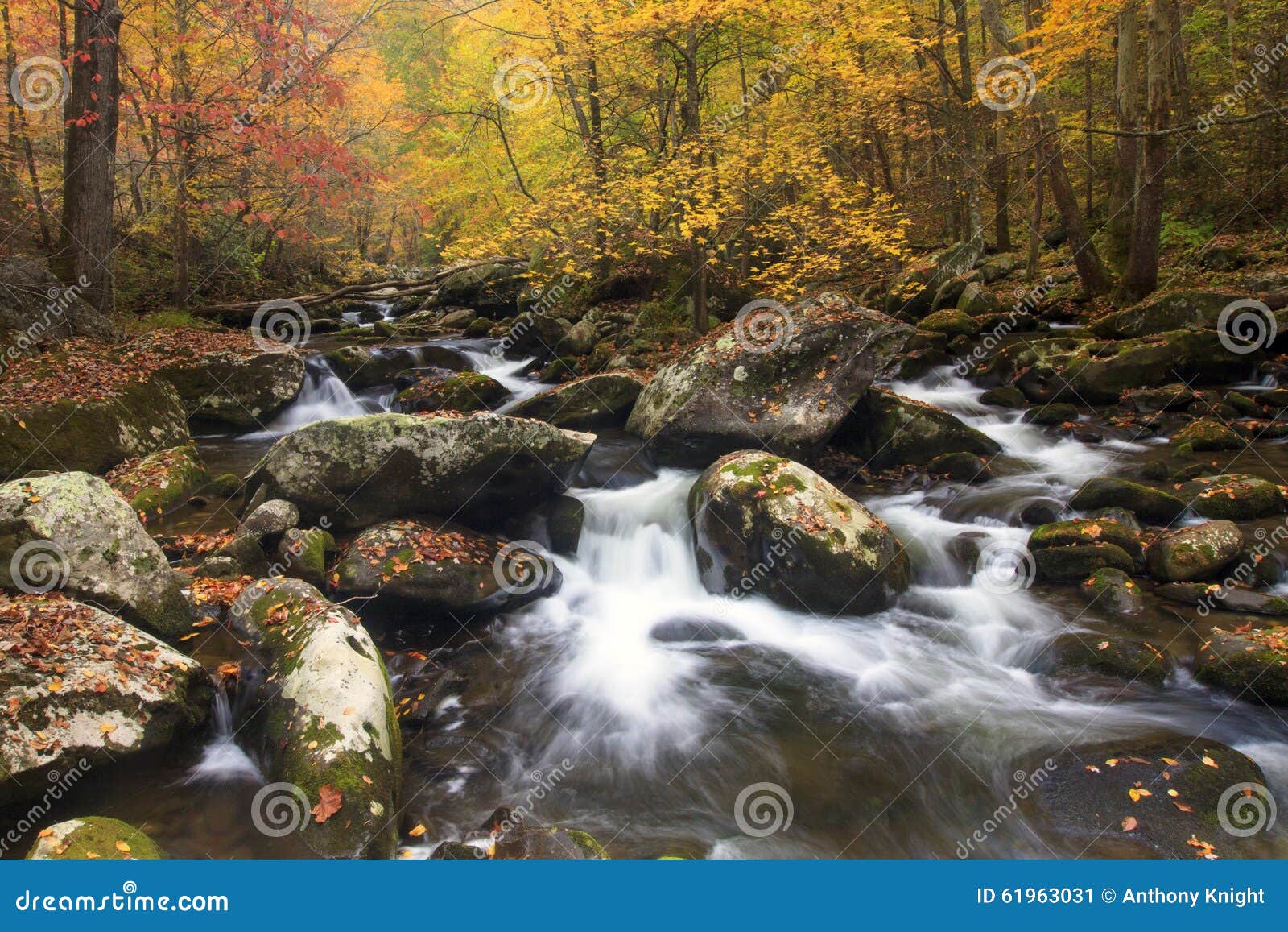 Smoky Mountain Fall Stream stock image. Image of outdoor - 61963031