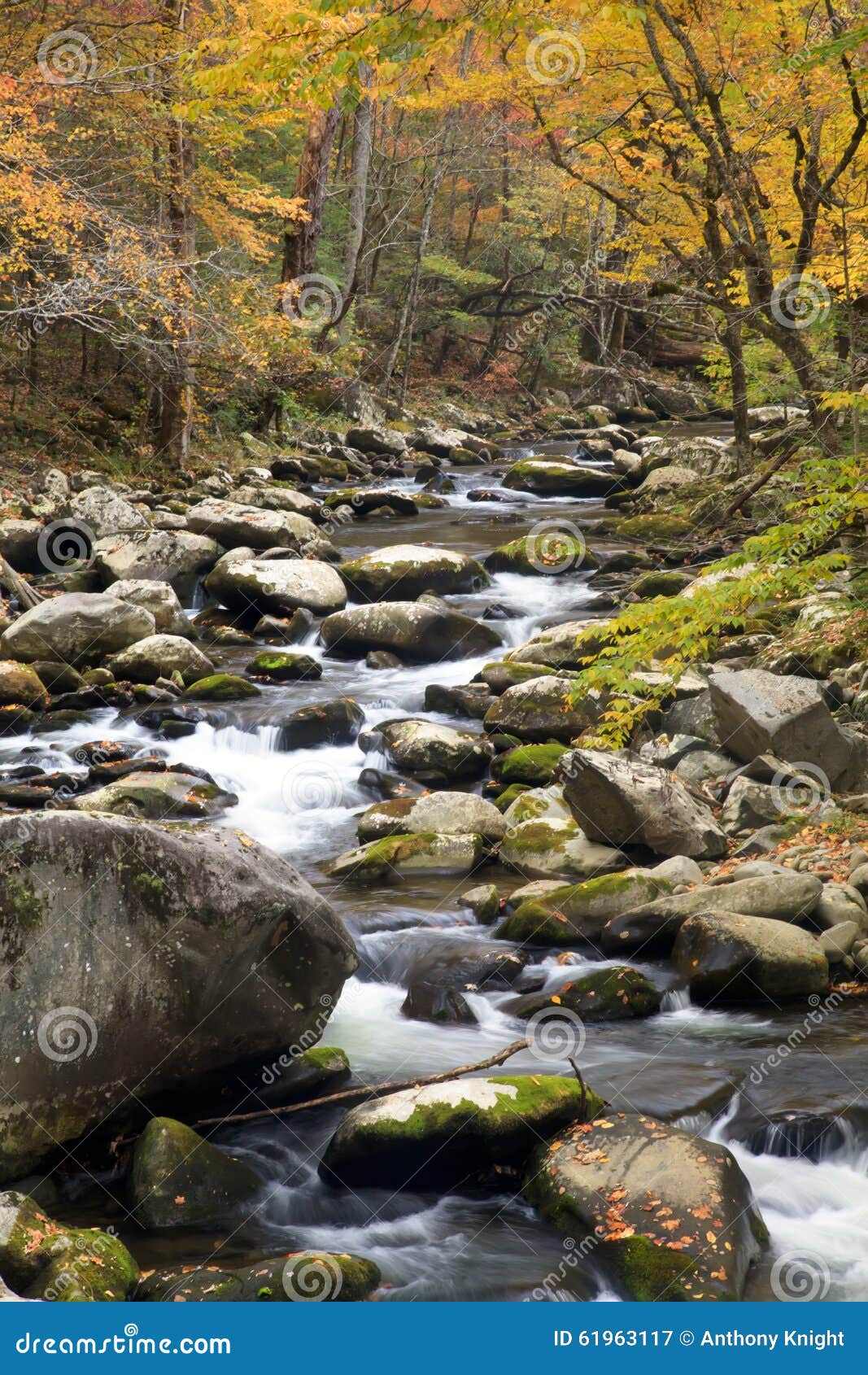 Smoky Mountain Fall Stream stock image. Image of ecology - 61963117
