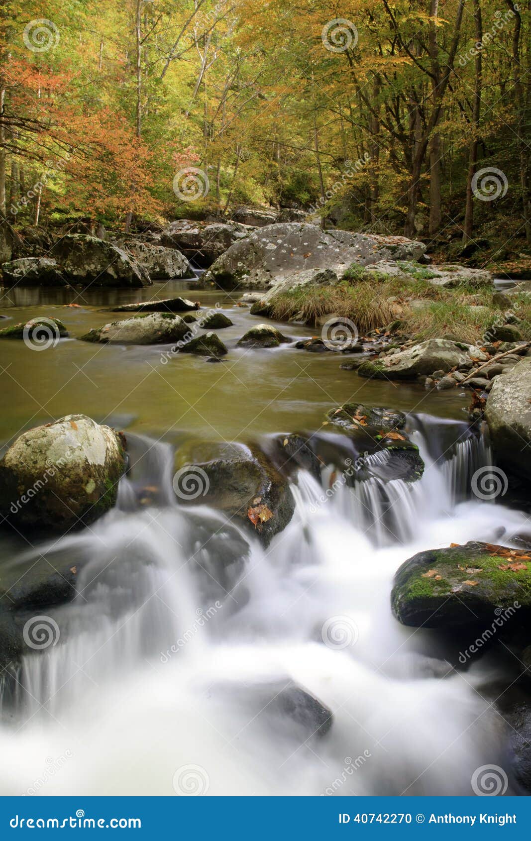 Smoky Mountain Fall Stream stock photo. Image of life - 40742270