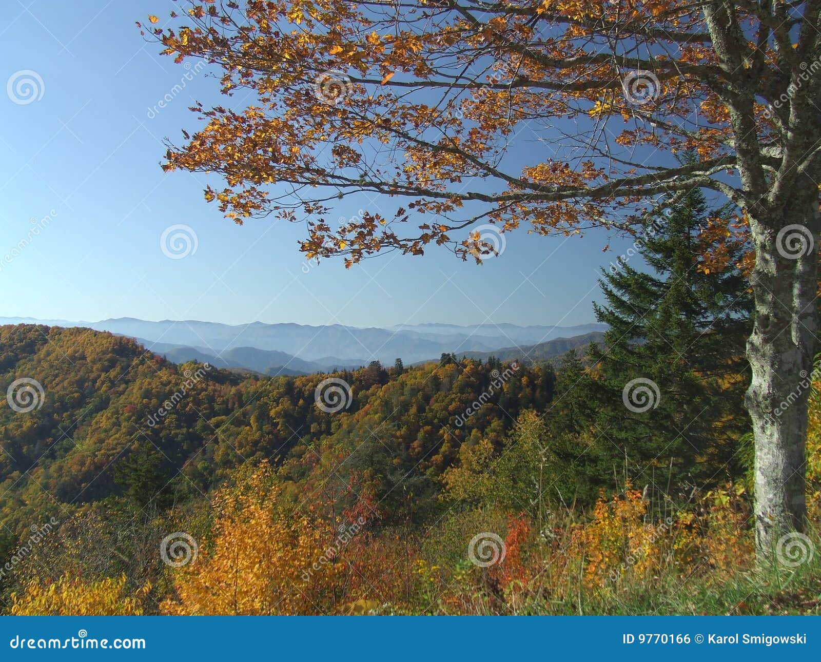 Smoky Mountain, Newfound Gap Picture. Image: 9770166