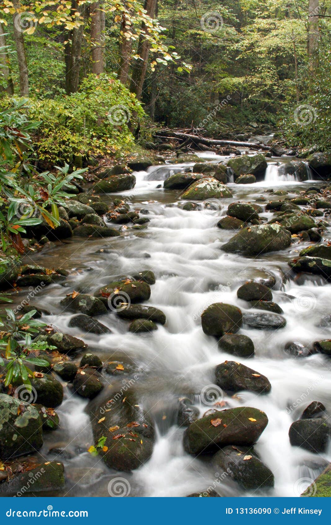 Smoky Mountain Stream stock photo. Image of gatlinburg - 13136090